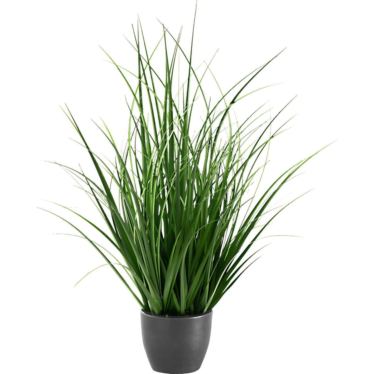 Indoor Grass Plant | schwartz-furniture